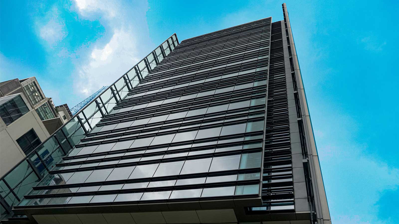 Apex Holdings Limited Apex Holdings Limited